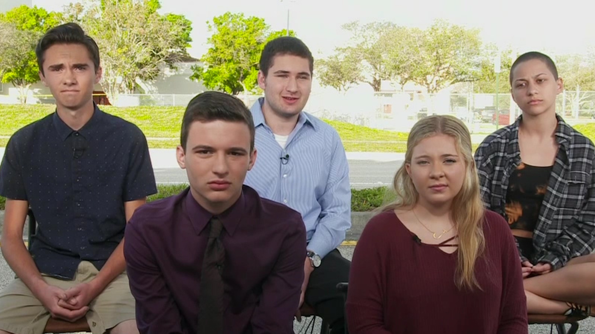 David Hogg Crisis Actor