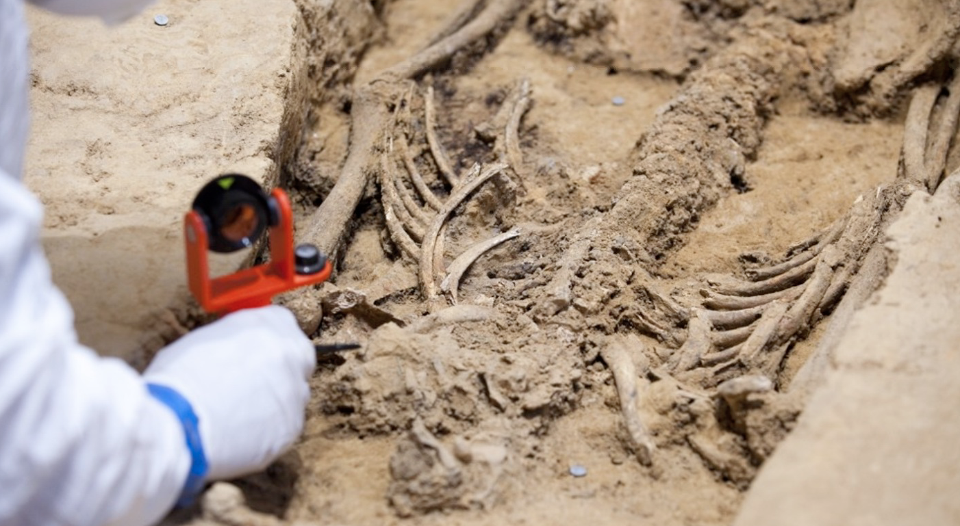 George Washington Skeleton