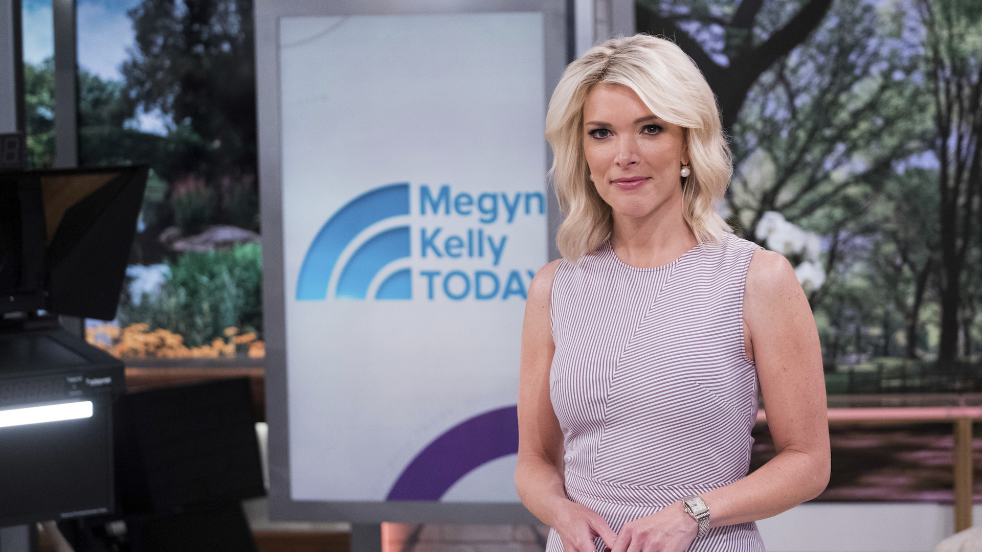 Megyn Kelly Nose Job Before And After